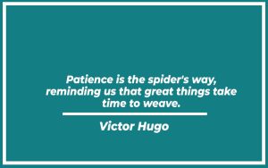 151 Best Spider Quotes (with Commentary) - Burning For Success