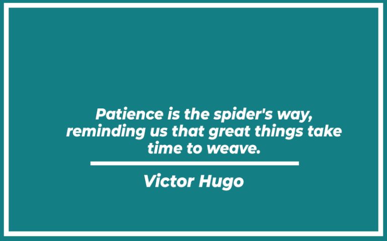 151 Best Spider Quotes (with Commentary) - Burning For Success