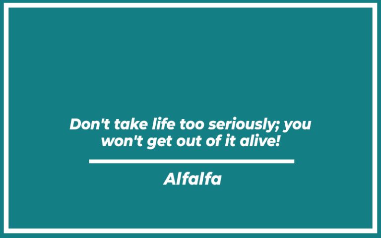 151 Best Little Rascals Quotes (with Commentary) - Burning For Success