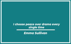 151 Best No Drama Quotes (with Commentary) - Burning For Success