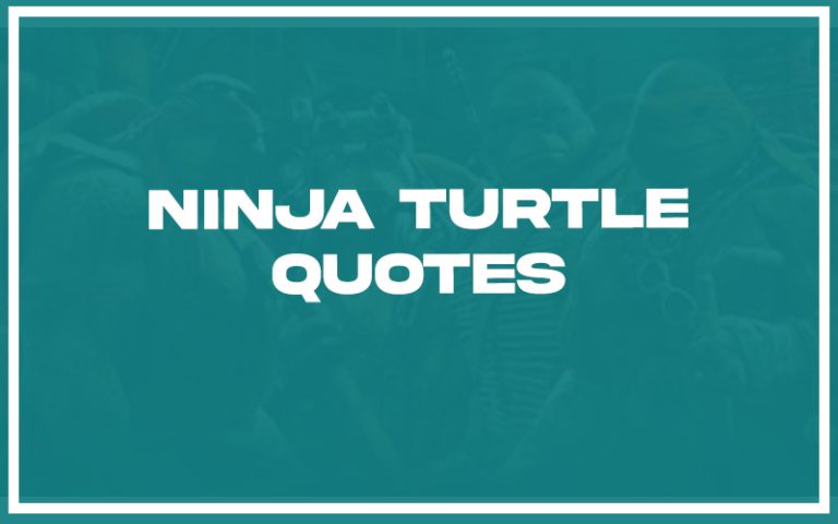 151 Best Ninja Turtle Quotes (with Commentary) - Burning For Success
