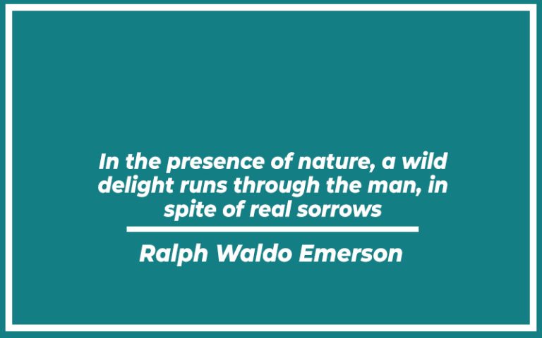 151 Best Transcendentalism Quotes (with Commentary) - Burning For Success