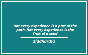 151 Best Siddhartha Quotes (with Commentary) - Burning For Success