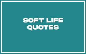 151 Best Soft Life Quotes (with Commentary) - Burning For Success