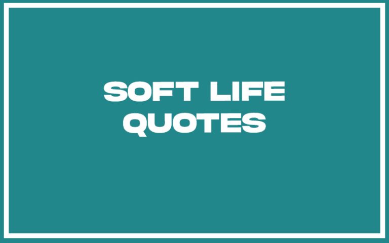 151 Best Soft Life Quotes (with Commentary) - Burning For Success