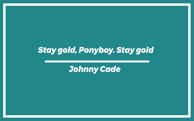 151 Best Johnny Cade Quotes (with Commentary) - Burning For Success