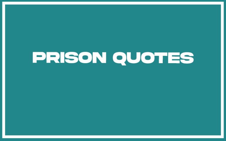 151 Best Prison Quotes (with Commentary) - Burning For Success