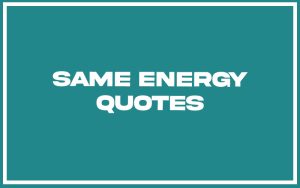 151 Best Same Energy Quotes (with Commentary) - Burning For Success