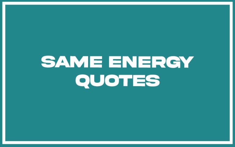 151 Best Same Energy Quotes (with Commentary) - Burning For Success