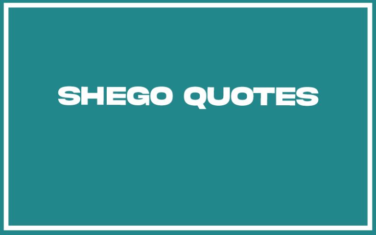 151 Best Shego Quotes (with Commentary) - Burning For Success