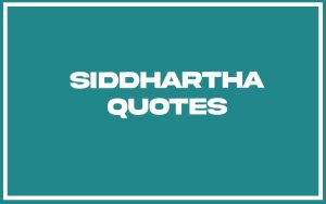 151 Best Siddhartha Quotes (with Commentary) - Burning For Success