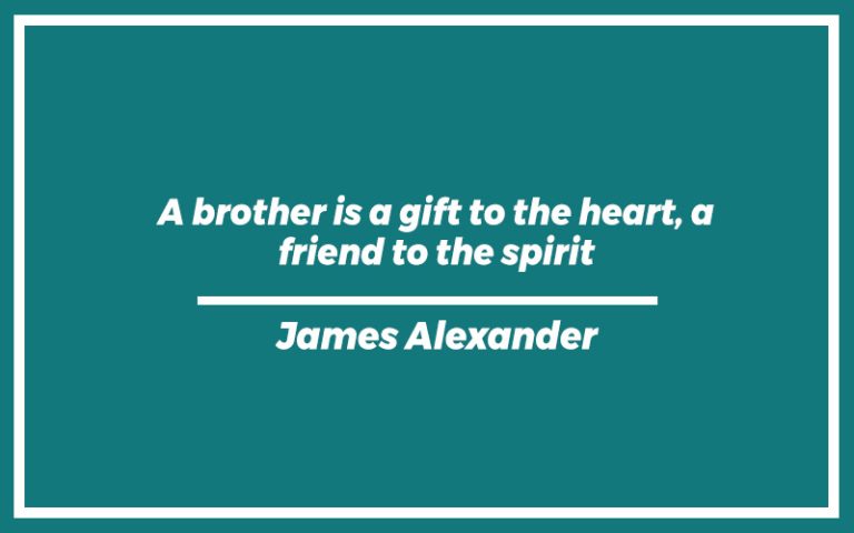 151 Best Brother Quotes (with Commentary) - Burning For Success