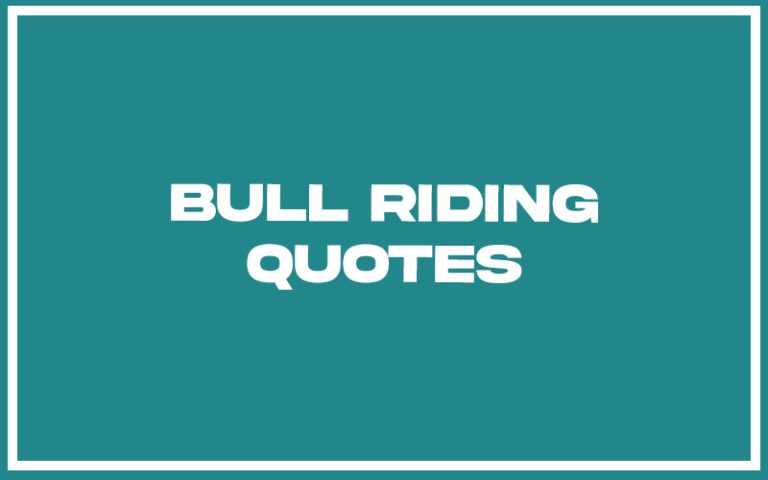 151 Best Bull Riding Quotes (with Commentary) - Burning For Success