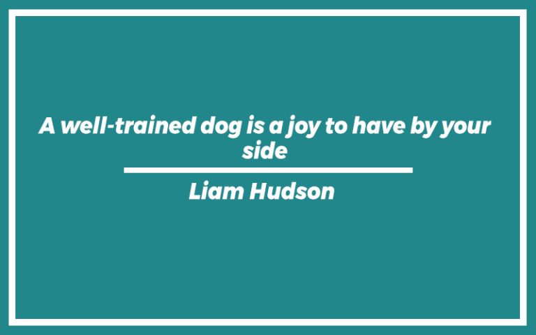 151 Best Dog Quotes (with Commentary) - Burning For Success