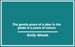 151 Best Deer Quotes (with Commentary) - Burning For Success