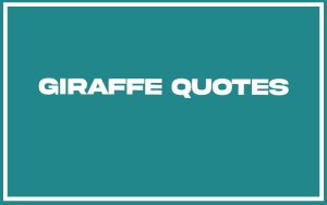 151 Best Giraffe Quotes (with Commentary) - Burning For Success