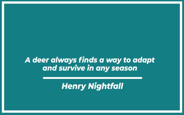 151 Best Deer Quotes (with Commentary) - Burning For Success