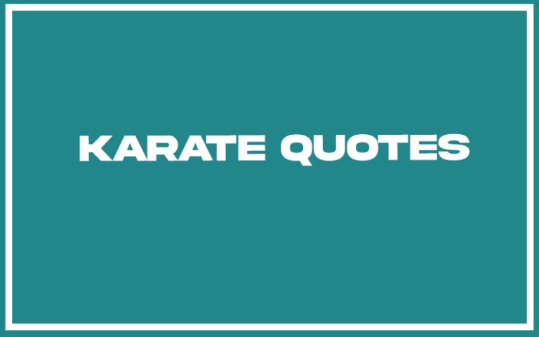 151 Best Karate Quotes (with Commentary) - Burning For Success