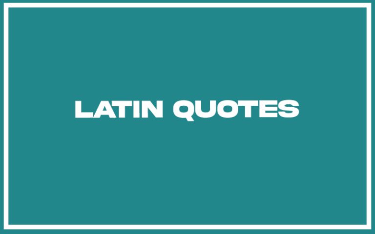 151 Best Latin Quotes (with Commentary) - Burning For Success