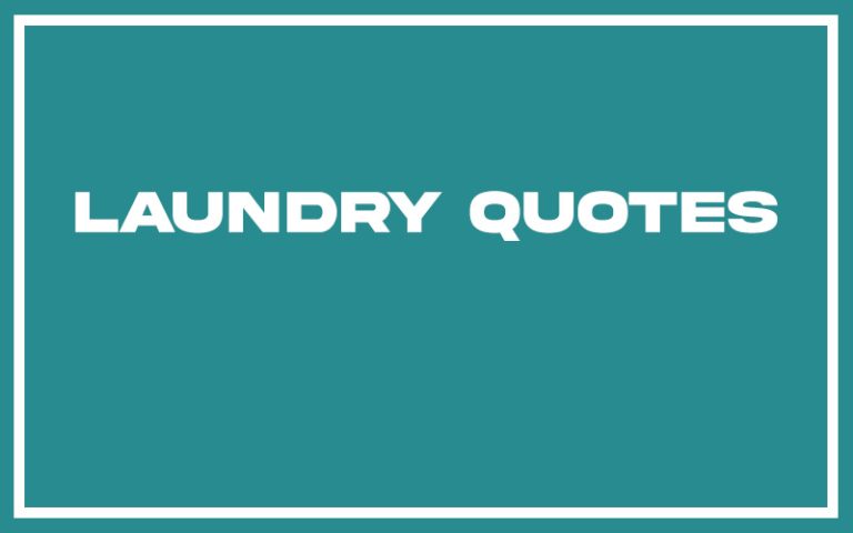 151 Best Laundry Quotes (with Commentary) - Burning For Success