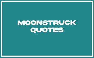151 Best Moonstruck Quotes (with Commentary) - Burning For Success