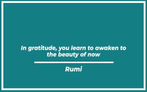 151 Best Gratitude Rumi Quotes (with Commentary) - Burning For Success