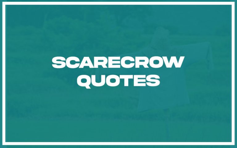 151 Best Scarecrow Quotes (with Commentary) - Burning For Success