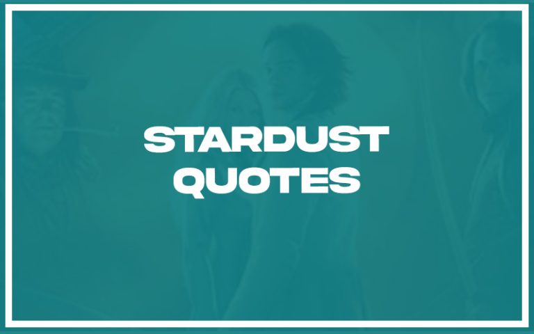 151 Best Stardust Quotes (with Commentary) - Burning For Success