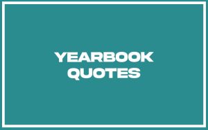 151 Best Yearbook Quotes (with Commentary) - Burning For Success
