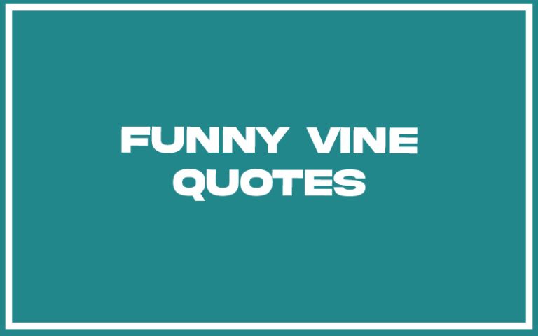 151 Best Funny Vine Quotes (with Commentary) - Burning For Success