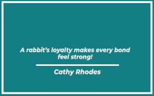 151 Best Rabbit Quotes (with Commentary) - Burning For Success