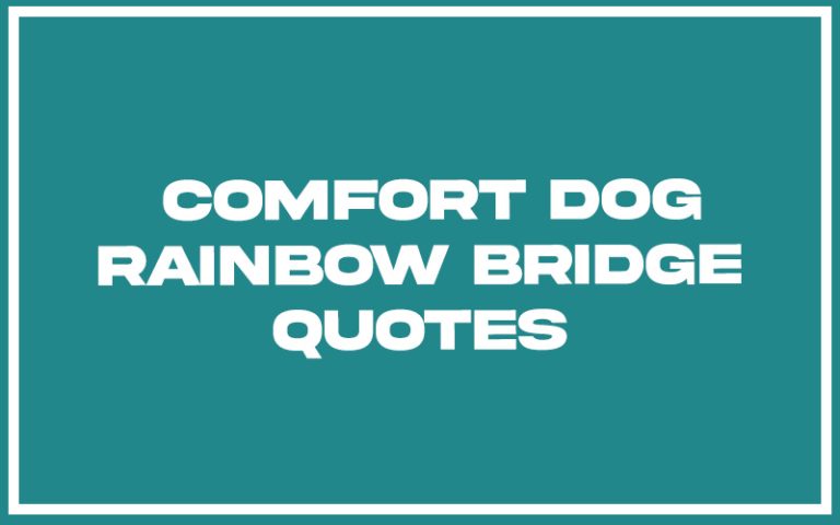 151 Best Comfort Dog Rainbow Bridge Quotes (with Commentary) - Burning ...