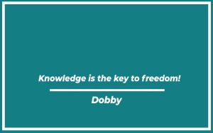 151 Best Dobby Harry Potter Quotes (with Commentary) - Burning For Success