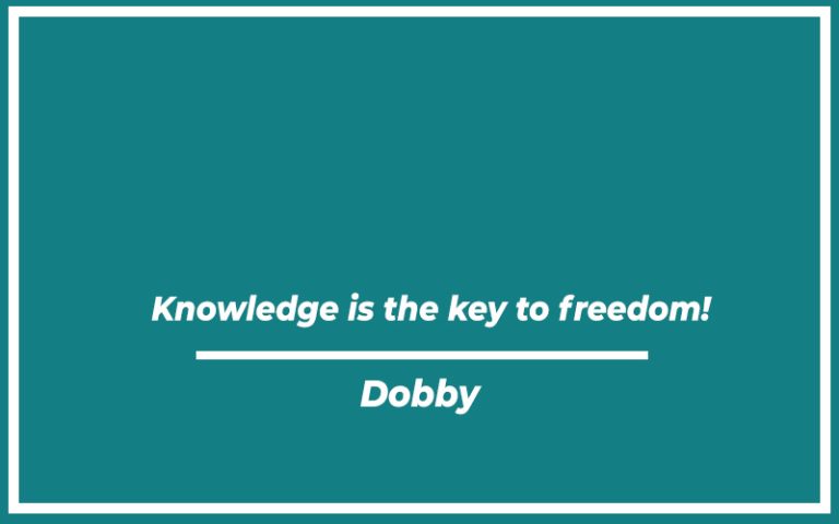 151 Best Dobby Harry Potter Quotes (with Commentary) - Burning For Success