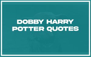 151 Best Dobby Harry Potter Quotes (with Commentary) - Burning For Success