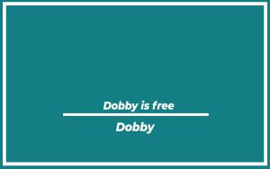 151 Best Dobby Harry Potter Quotes (with Commentary) - Burning For Success