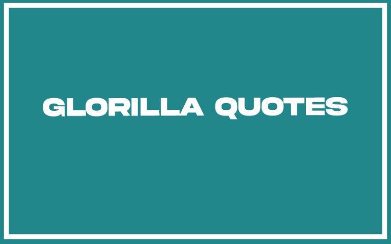 151 Best GloRilla Quotes (with Commentary) - Burning For Success
