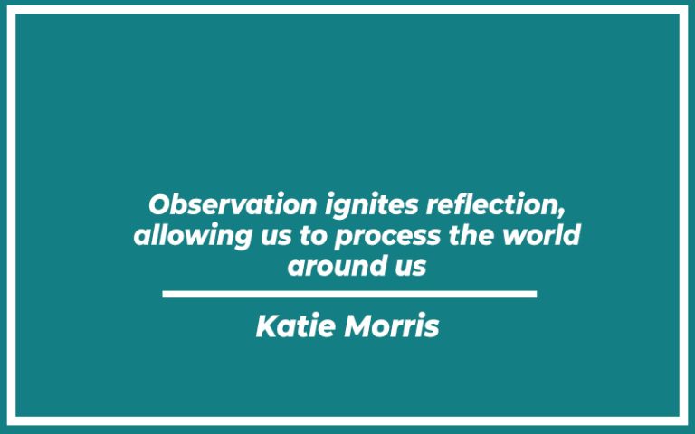 151 Best Observe Quotes (with Commentary) - Burning For Success