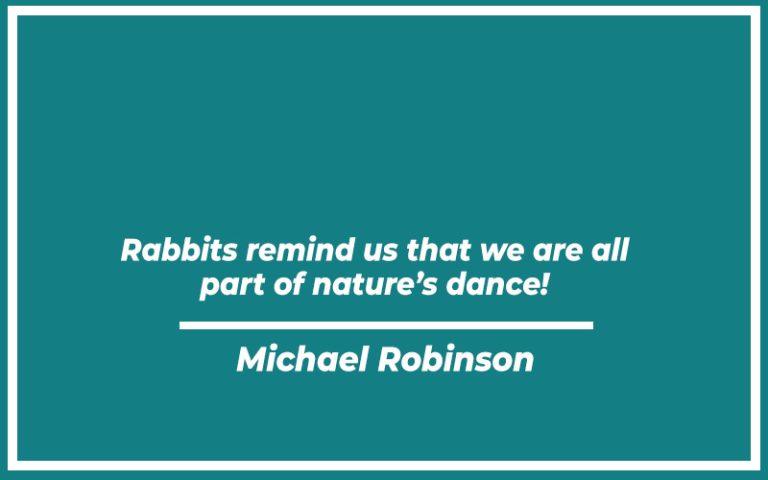 151 Best Rabbit Quotes (with Commentary) - Burning For Success