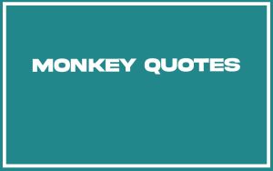 151 Best Monkey Quotes (with Commentary) - Burning For Success