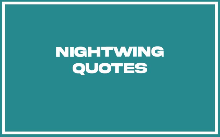 151 Best Nightwing Quotes (with Commentary) - Burning For Success