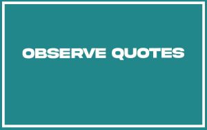 151 Best Observe Quotes (with Commentary) - Burning For Success