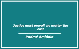 151 Best Padme Quotes (with Commentary) - Burning For Success
