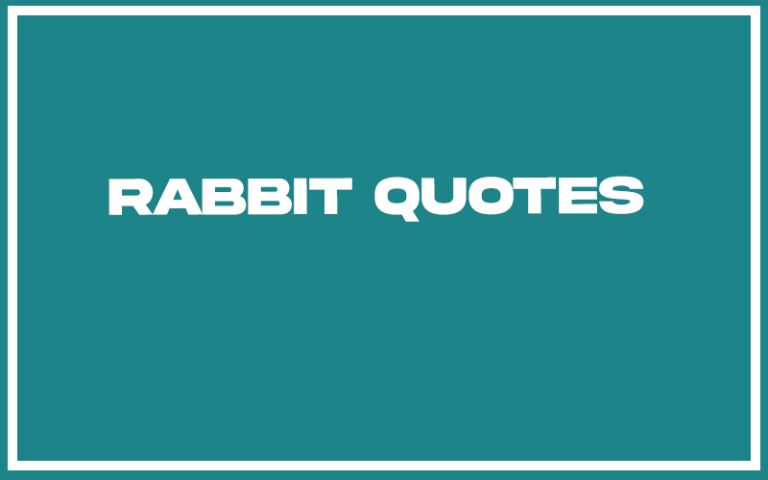 151 Best Rabbit Quotes (with Commentary) - Burning For Success