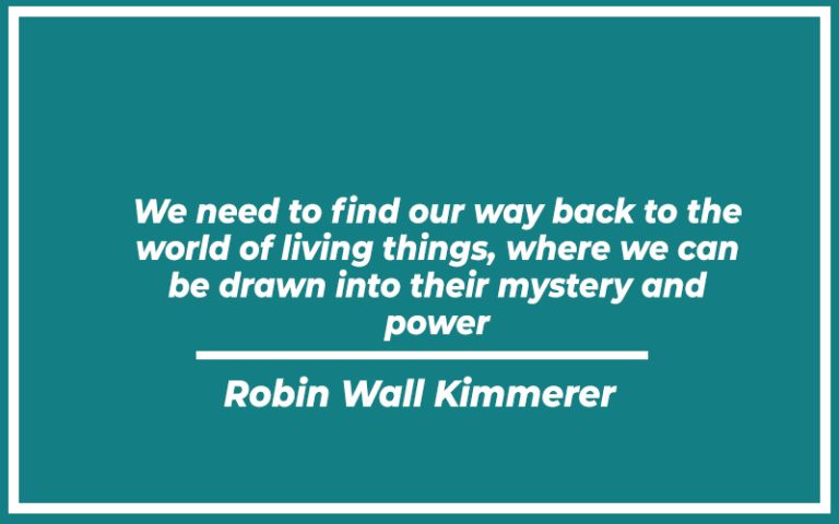 151 Best Robin Wall Kimmerer Quotes (with Commentary) - Burning For Success