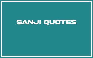 151 Best Sanji Quotes (with Commentary) - Burning For Success
