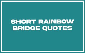 151 Best Short Rainbow Bridge Quotes (with Commentary) - Burning For ...