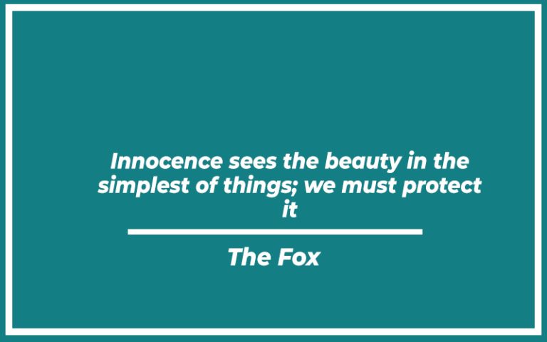 151 Best The Little Prince Fox Quotes (with Commentary) - Burning For ...