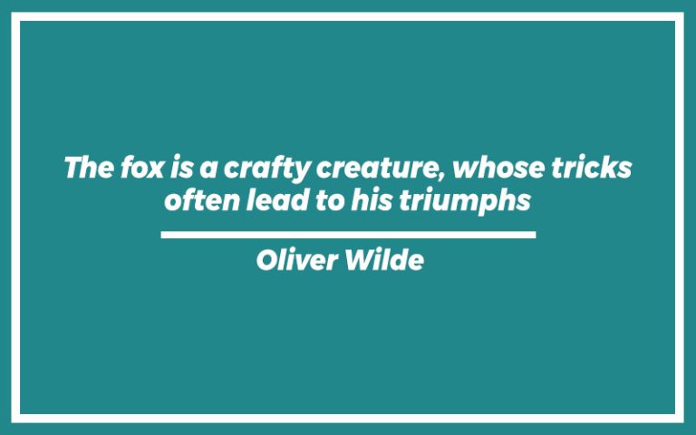 151 Best Fox Quotes (with Commentary) - Burning For Success