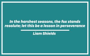 151 Best Fox Quotes (with Commentary) - Burning For Success